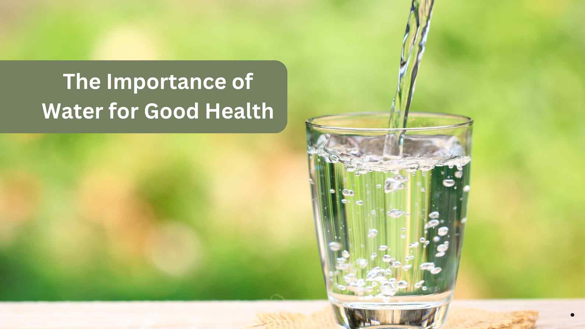 The Importance of Water for Good Health 2025 | Fitness HUBx