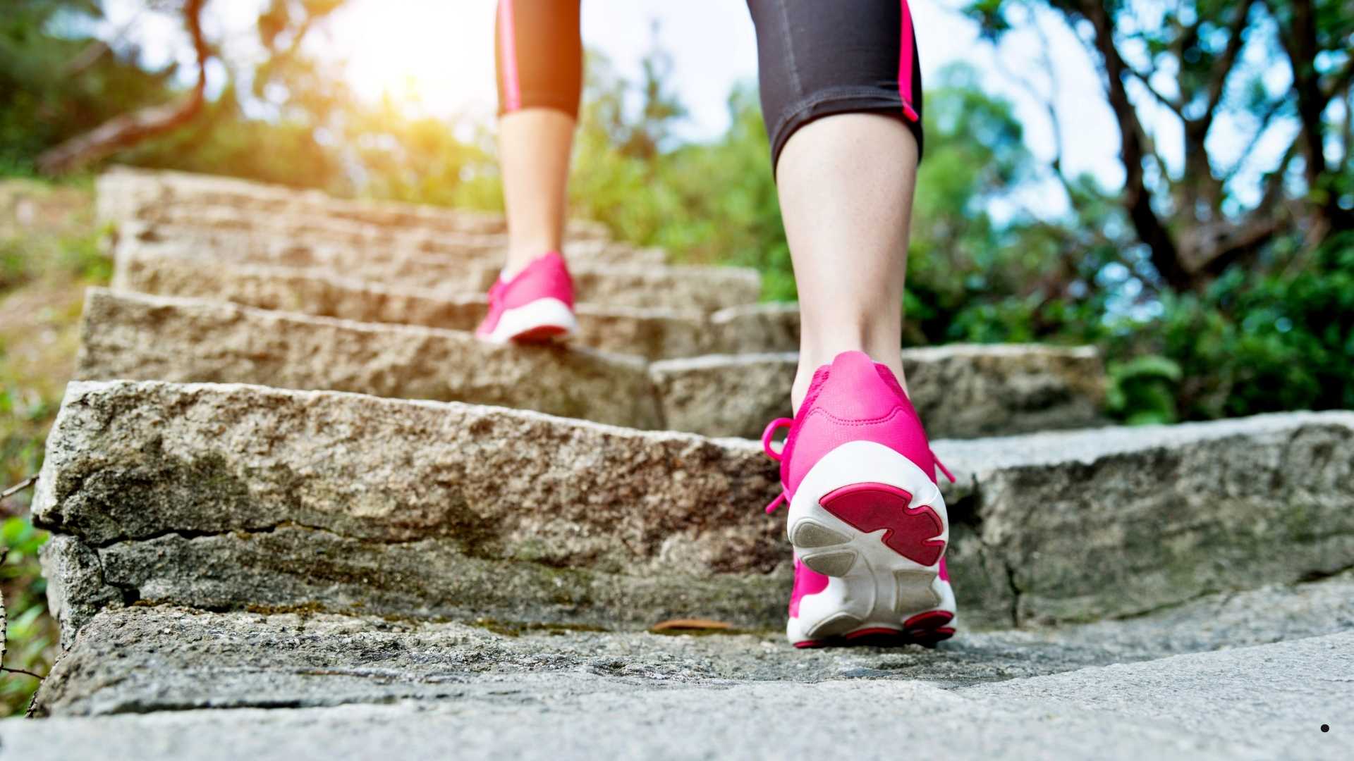How Many Steps Do People Take Per Day on Average? 2025 | Fitness HUBx