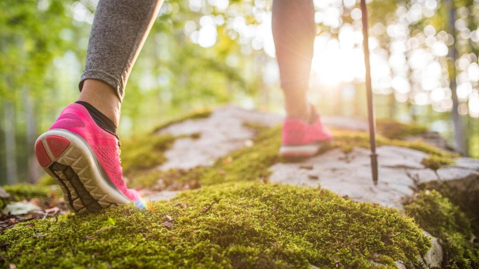 How Many Steps Do People Take Per Day on Average? 2025 | Fitness HUBx